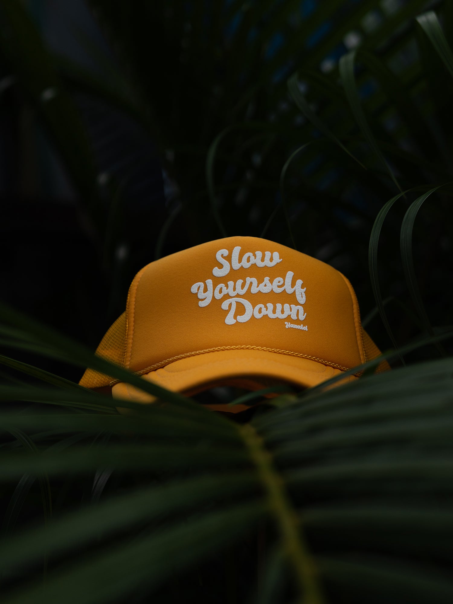 Slow Yourself Down